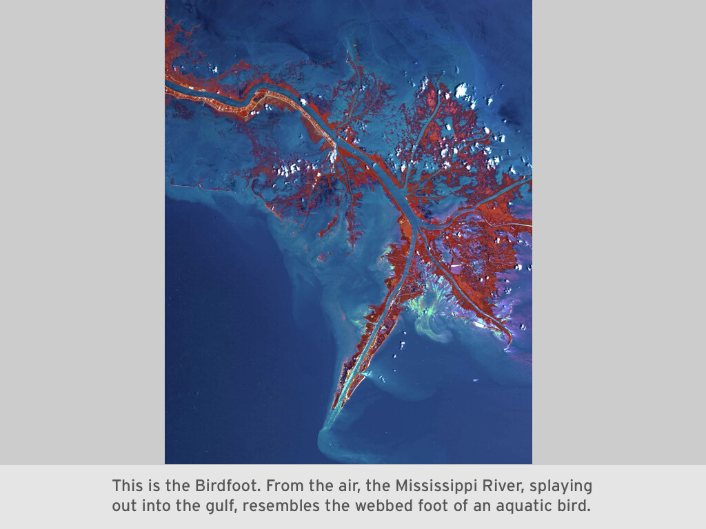Birdfoot: Where America's River Dissolves Into the Sea | The Center for ...