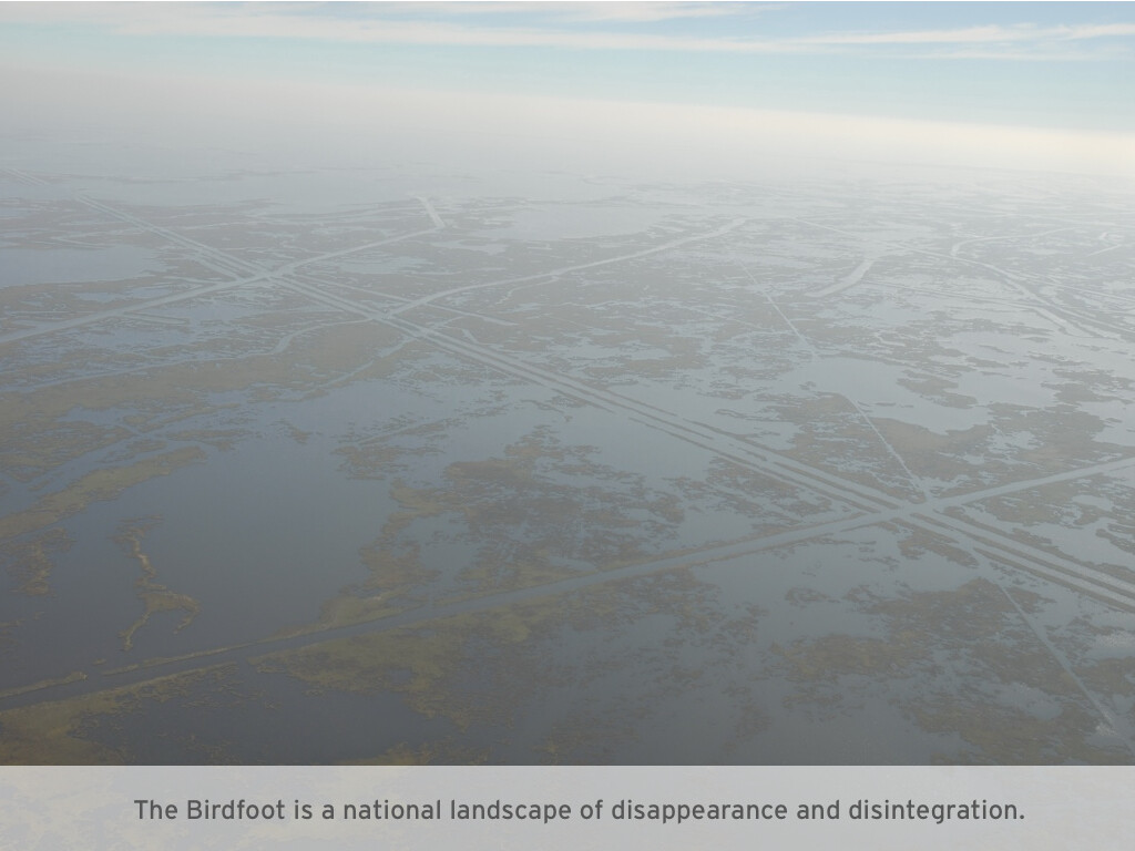 Birdfoot: Where America's River Dissolves Into the Sea | The Center for ...
