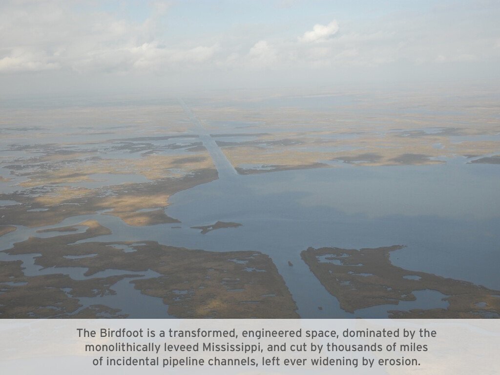 Birdfoot: Where America's River Dissolves Into the Sea | The Center for ...