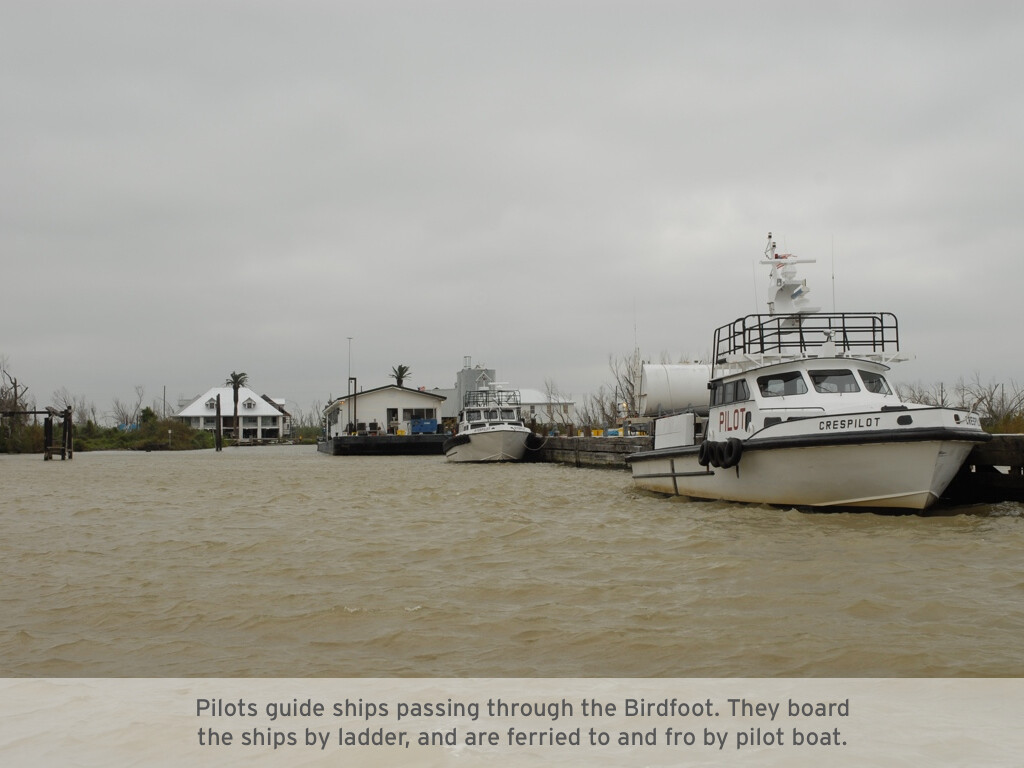 Birdfoot: Where America's River Dissolves Into the Sea | The Center for ...