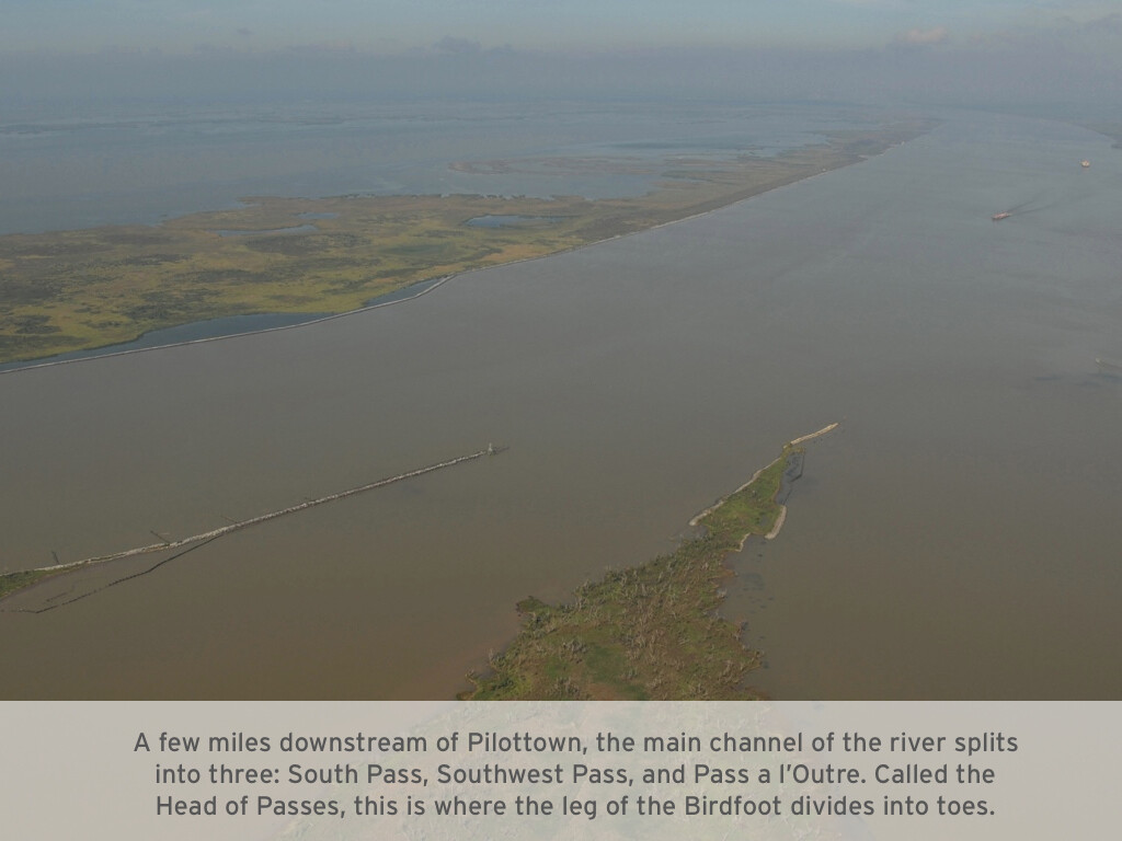 Birdfoot: Where America's River Dissolves Into the Sea | The Center for ...