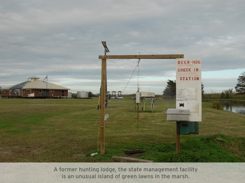 Birdfoot: Where America's River Dissolves Into the Sea | The Center for ...