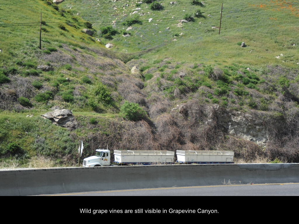 The Grapevine: Interstate 5 | The Center for Land Use Interpretation