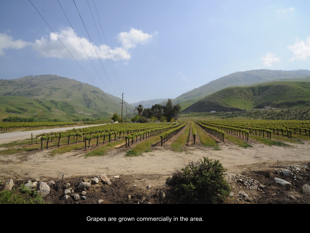 The Grapevine: The Ridge Route | The Center for Land Use Interpretation