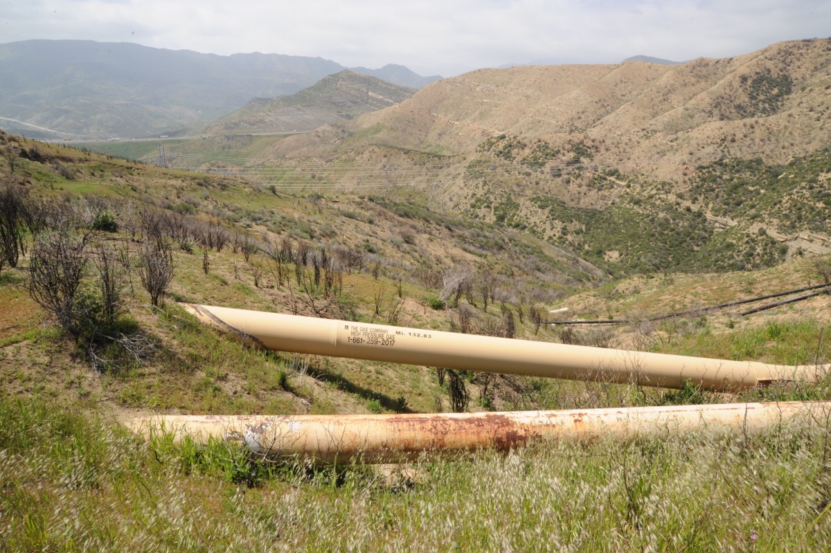 Through the Grapevine Exhibit | The Center for Land Use Interpretation